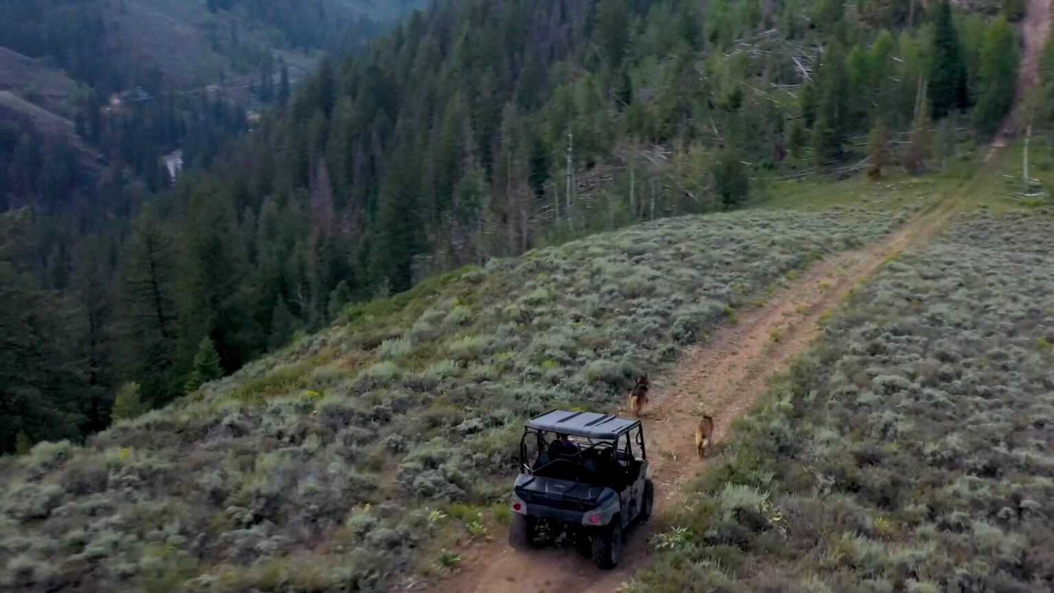 10 Best Exotic Hunting Ranches in Texas That You Must Visit in 2023